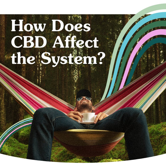 What is the Endocannabinoid System?