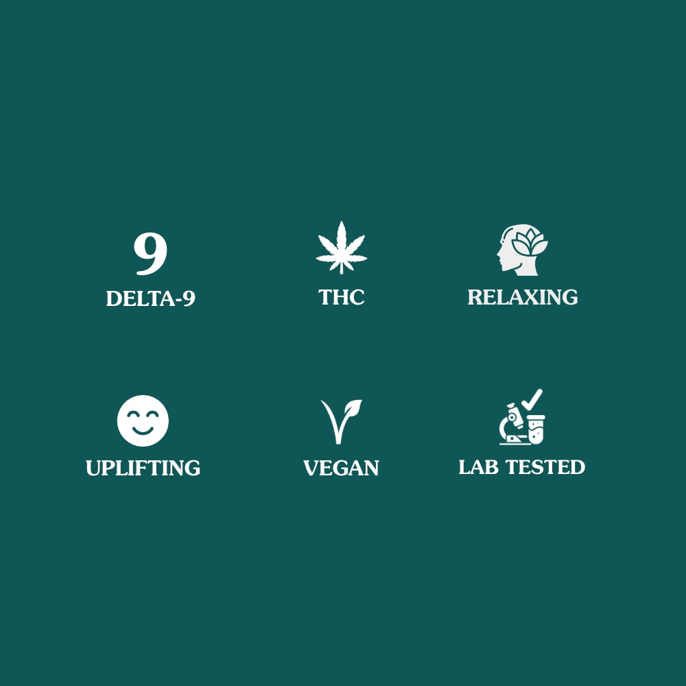 Delta 9 THC Seltzer 4 Pack - 10mg - Lemon Fader – Kind Oasis